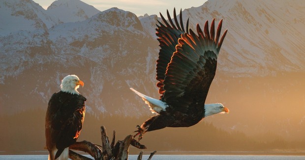 Exploring British Columbia and the San Juan Islands