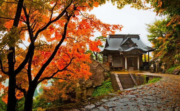 Alaska to Japan: Ring of Fire to Ainu Culture Expedition Cruise