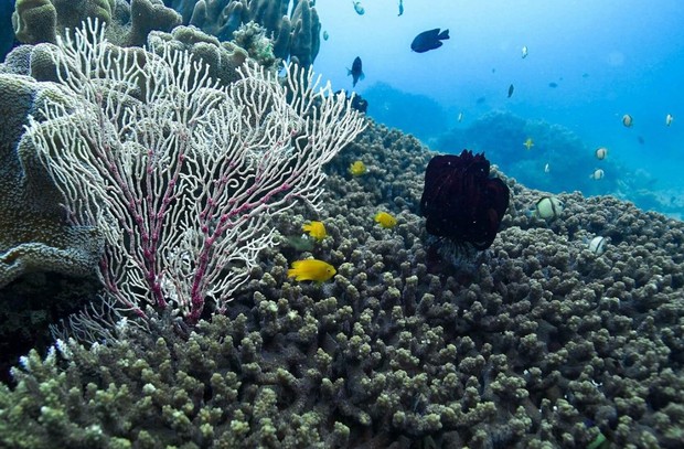 Undiscovered Philippines & Indonesia Small Ship Cruise