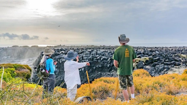 Enquire | Isabela II Western Galapagos Islands 5 Day Itinerary