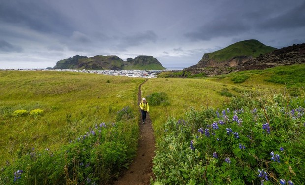Wild Arctic Shores: Circumnavigating Iceland and Exploring Greenland